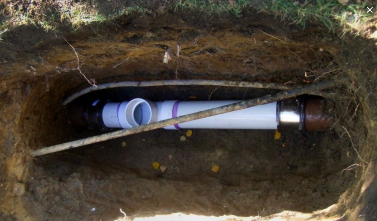 4 Ways to Protect Your Plumbing From Tree Roots | Cass Plumbing