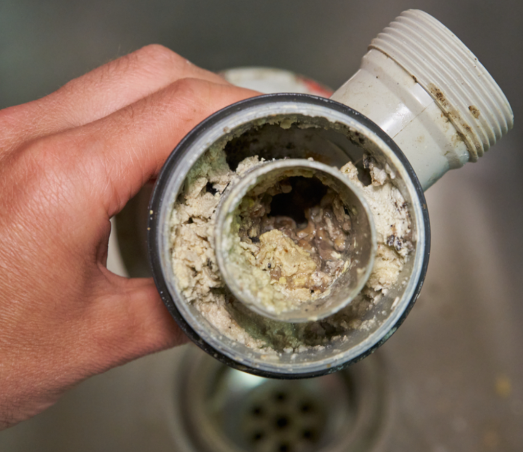 Keep Drains Smiling in Tampa, Florida with Cass Plumbing